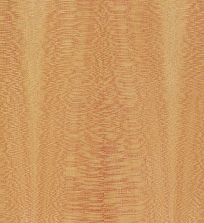 European Lacewood » GERBER Humidor materials » light woods & veneers